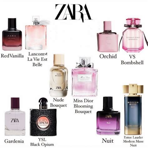 Zara Perfume Dupes 40 Plus Luxury Fragrances Artofit