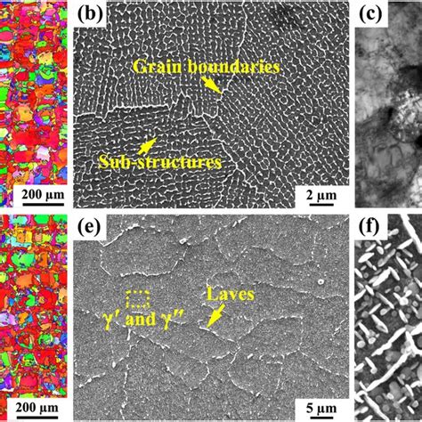 A Ebsd Orientation Image Map Indicating The Grains Morphology And