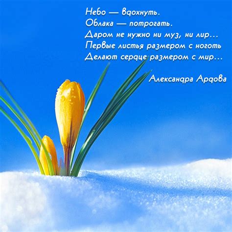 Питомник растений Владимира Овчинникова