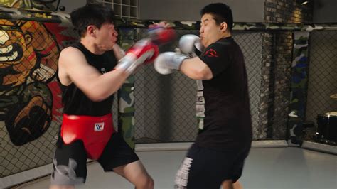 130kg Mma 챔피언 Vs 80kg 복싱 챔피언 Youtube