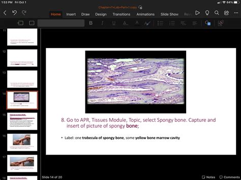 Solved 153 Pm Fri Oct 1 64