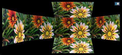 Acer Aspire Go Ag P Review Is This The Budget Inch Laptop You Ve Been Waiting For