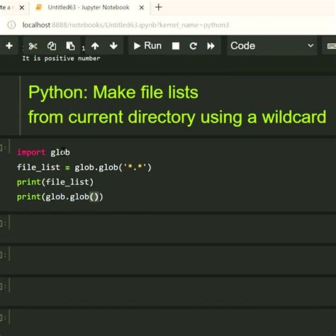Python Make File Lists From Current Director Using A Wildcard Youtube