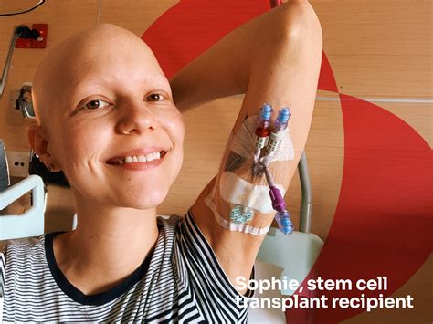 Youre A Stem Cell Donor Heres What You Need To Know Donor Portal