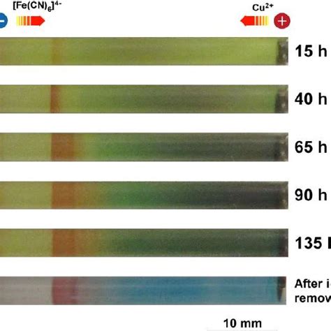 Spatiotemporal Evolution Of A Multicolored Pattern Formed At 25 °c In
