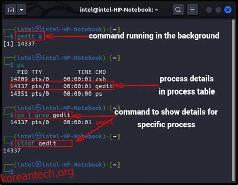 Linux에서 프로세스를 종료하는 방법 Linux에서 프로세스를 종료하는 방법