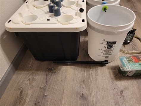 Building A Diy Rdwc System Hydroponic Ilgm Forum