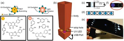Schematic Representation Of The Paper Embedded Gqd‐based Sensor Via Download Scientific Diagram