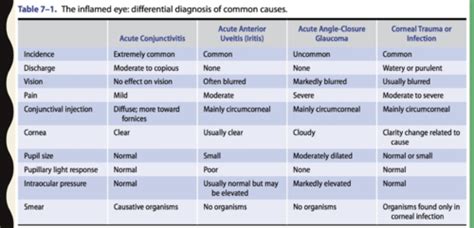 Uveitis Vs Conjunctivitis