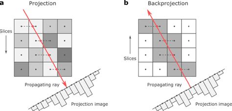 9 A The Principle For Numerical Calculation Of A Projection A Ray Download Scientific