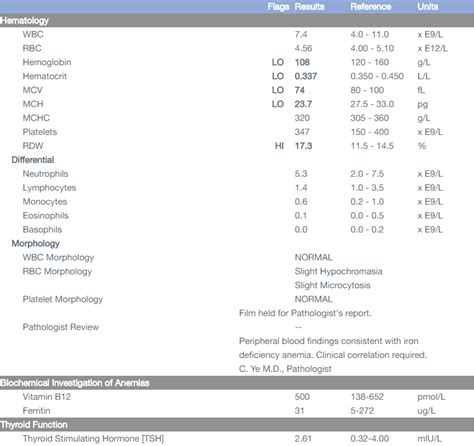 What Lab Test Shows Iron Level At Joel Lennon Blog