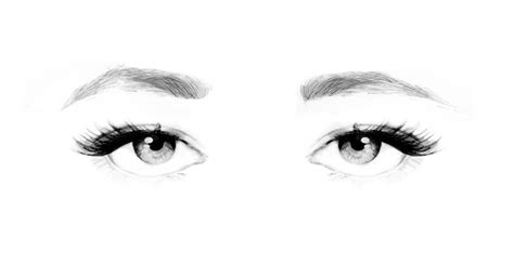 Realistic Eyebrow Drawing At PaintingValley Com Explore Collection Of Realistic Eyebrow Drawing