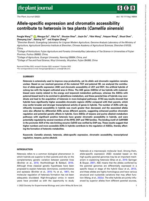 Pdf Allele Specific Expression And Chromatin Accessibility Contribute To Heterosis In Tea