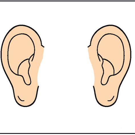Free Ears Clipart Download Free Ears Clipart Png Images Free Cliparts