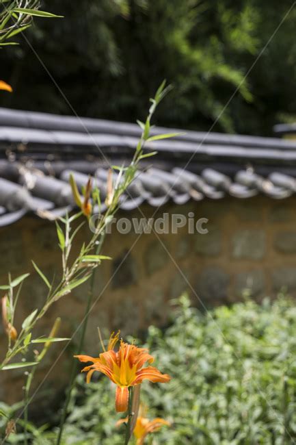 기와 전통 한옥 민속 한국 사진 이미지 일러스트 캘리그라피 Chastar작가