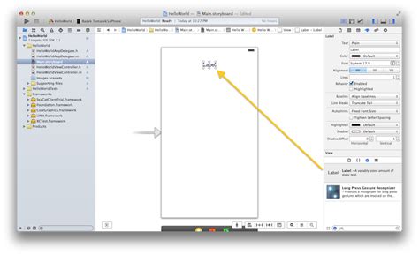 Seacat Tutorial Chapter 1 Hello World Ios · Teskalabs Blog