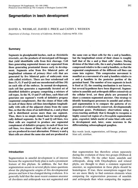Pdf Segmentation In Leech Development