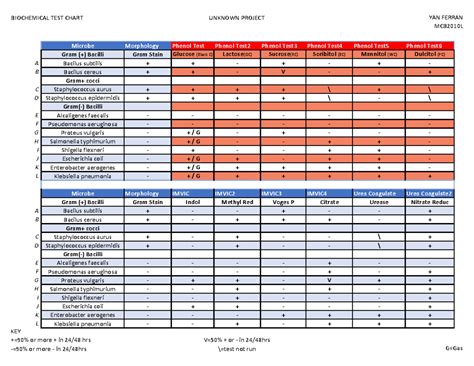 Biochemical Tests Chart Biochemical Test Chart Unknown Project Yan Ferran Mcb2010l Microbe