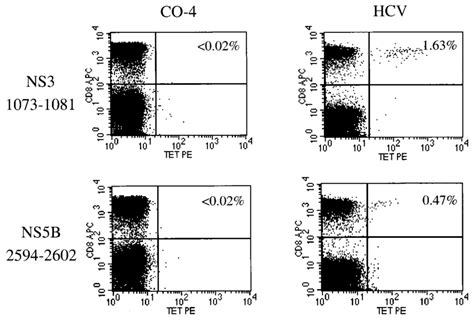 Tetramer Staining Of Hcv Specific Cd8 T Cells The Two Graphs On The Download Scientific