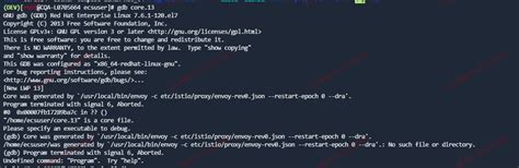 独立部署gateway启动报错 · Issue 11 · Higress Grouphigress Standalone · Github