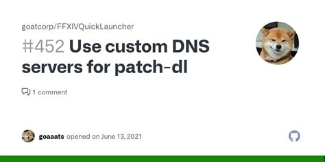 Use Custom DNS Servers For Patch Dl Issue Goatcorp FFXIVQuickLauncher GitHub