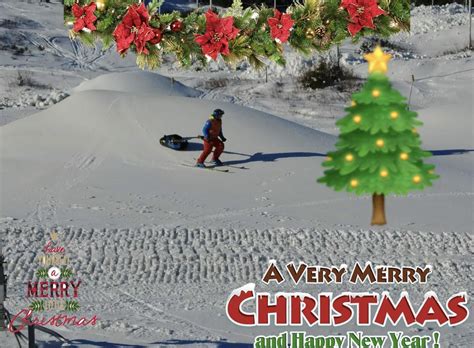 Donna Ludlow Paddon On Linkedin Roshell Industries And Team Skizee