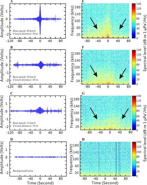 Color Online Examples Of Waveforms And Spectrograms Of The Boat