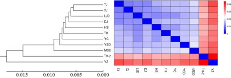 The Phylogenetic Tree With The Heatmap Of 11 M Nipponense Populations Download Scientific