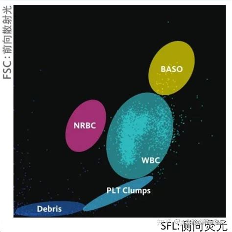 【临检基本功】如何看懂血细胞直方图与散点图（建议收藏） 知乎