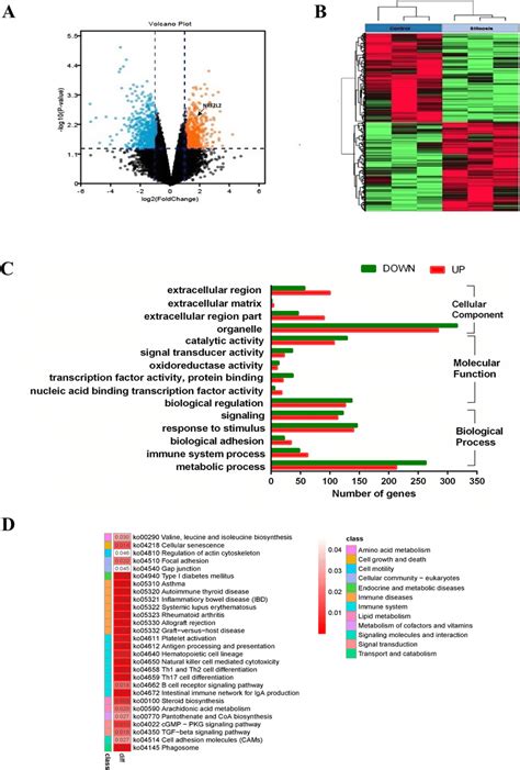 Rna Seq Transcriptomic Profiles And The Differential Expressed Genes In