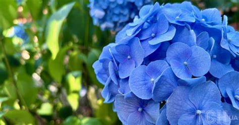 Точний гороскоп на сьогодні 20 липня 2024 року Астрологічний прогноз для всіх знаків Зодіаку