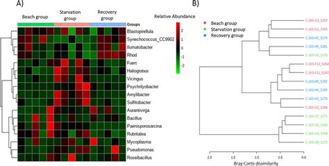 a heatmap and cluster analysis of the top 20 3 unclassified genera