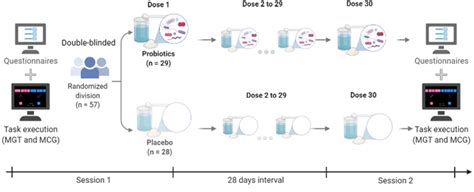 Experimental Design Figure Depicts The Double Blinded Download