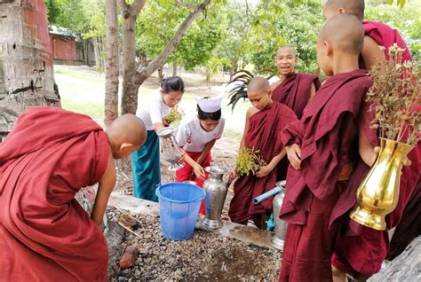 ဇေယျာသီရိမြို့နယ် ပြည်စံအောင်ရပ်ကွက်အတွင်းရှိ ဘုန်းတော်ကြီးကျောင်း ၅ ကျောင်းအား သွေးလွန် တုပ်က