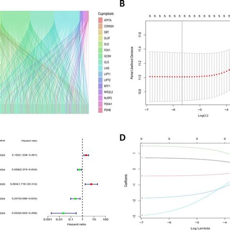 A Screen Of Differentially Expressed Cuprotosis Related Lncrnas In Download Scientific Diagram