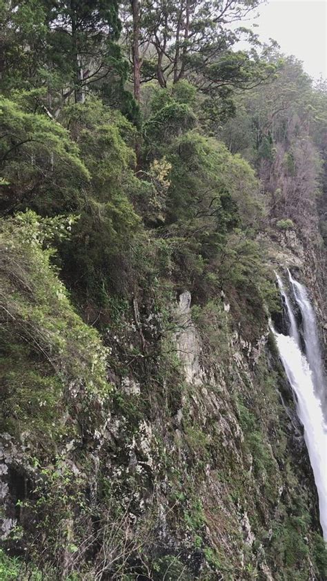 Elevation Of Comboyne Plateau Comboyne Nsw Australia Maplogs