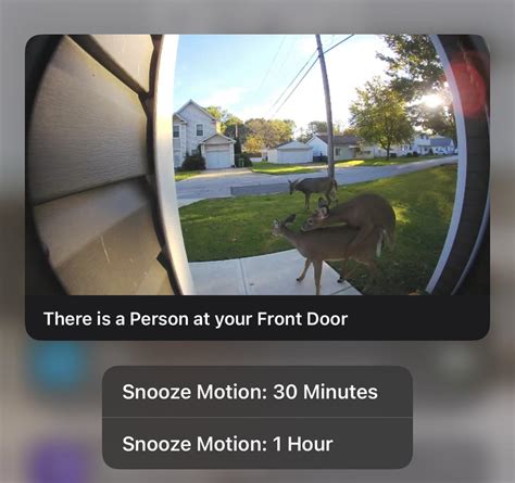 When Your Ring Captures The Perfect Snapshot R Ring