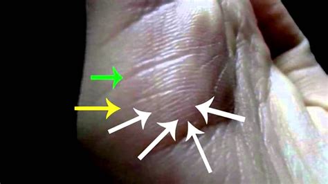 MARRIAGE LINES HOW TO READ YOUR PALM YouTube