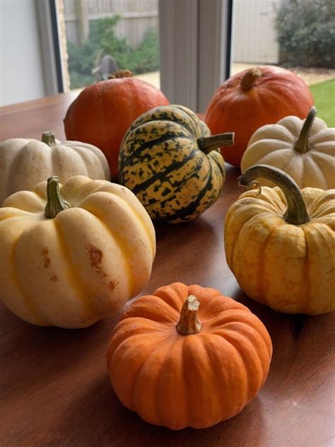 Walnut And Lentil Stuffed Squash