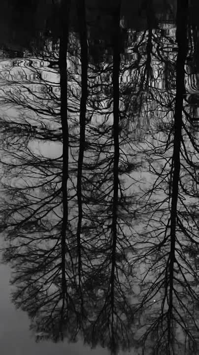 Video Arh Daniel Munteanu Posted On Linkedin