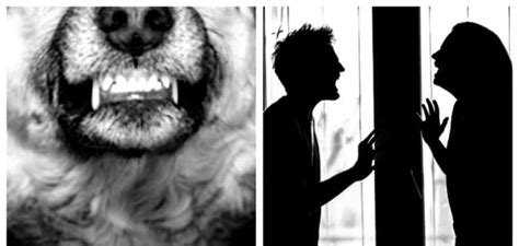 Mister Nahuli Ni Misis Na Nakikipag Sex Sa Alagang Aso Naadik Na