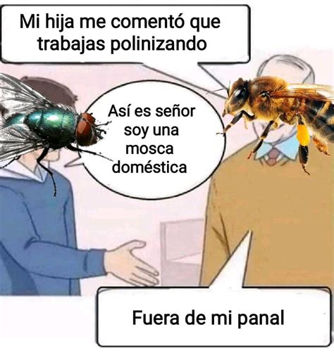 Top Memes De Abeja En Español Memedroid