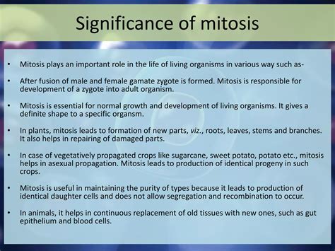 Chromosomal Theory Of Inheritance In Relation To Cell Division Pptx