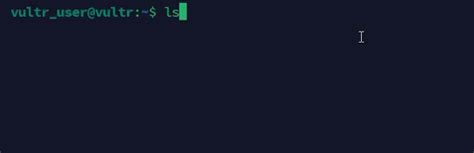 How To Use The Chmod Command In Linux Vultr Docs