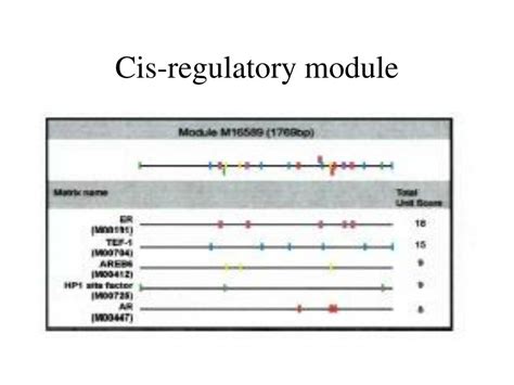 Ppt Genome Wide Computational Prediction Of Transcriptional