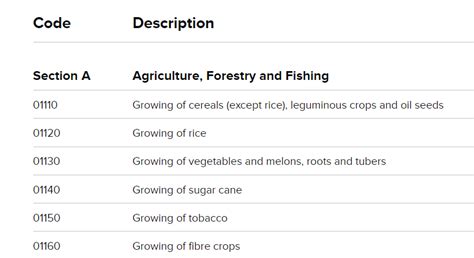 Understanding Sic Codes What They Are And How To Choose Yours Formations Hunt
