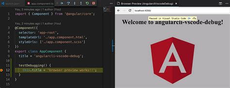 Debugging Angular Cli Apps Inside Vscode With Browser Preview By Mark
