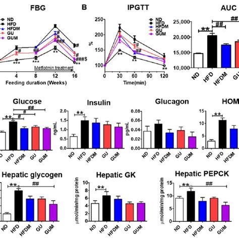 Effect Of Metformin G Uralensis Fischer And Their Combination After