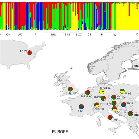 population clustering of phytophthora plurivora genetic clustering k