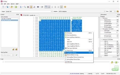 TCP Proxy IO Ninja